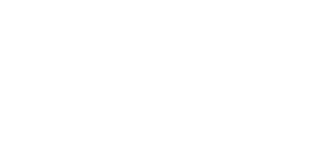 Selcom Microfinance Bank