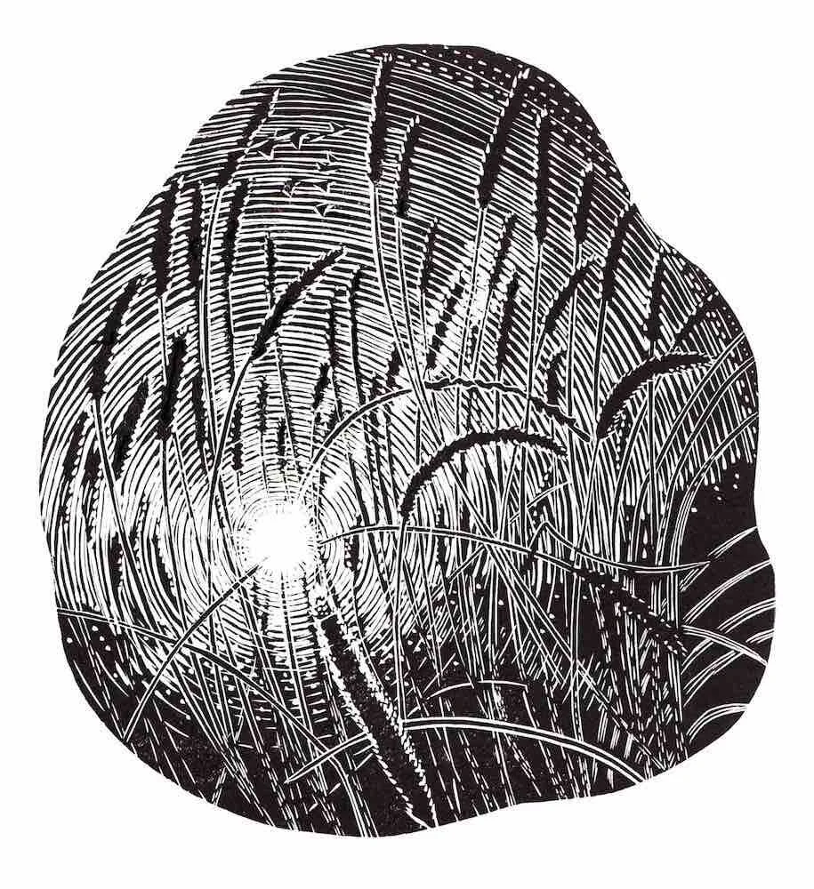 Kevis House Gallery — Keith A Pettit