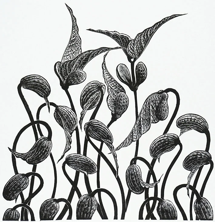 Kevis House Gallery — Trevor Haddrell