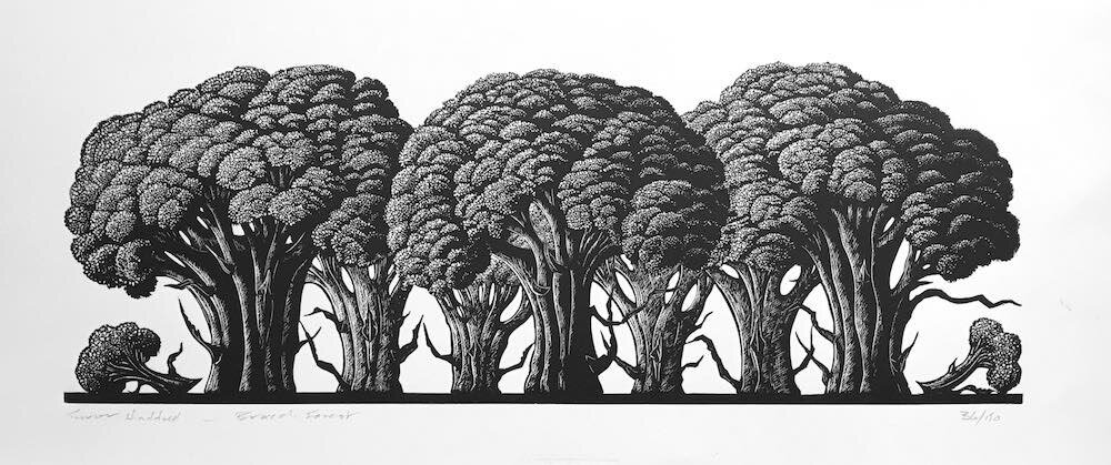 Kevis House Gallery — Trevor Haddrell