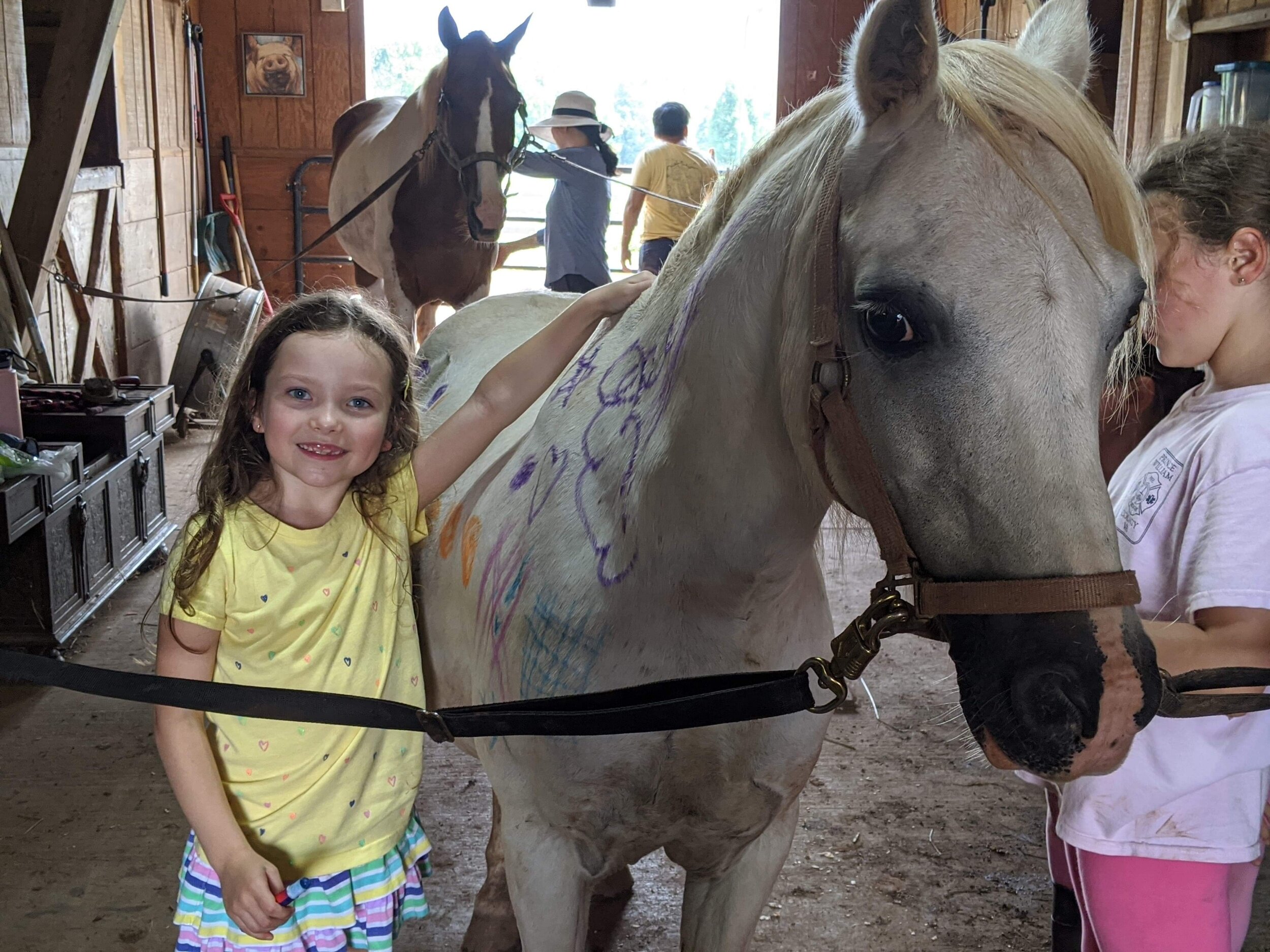 Hope & Serenity Farm Sanctuary