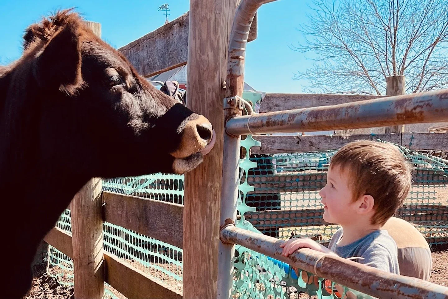Hope & Serenity Farm Sanctuary