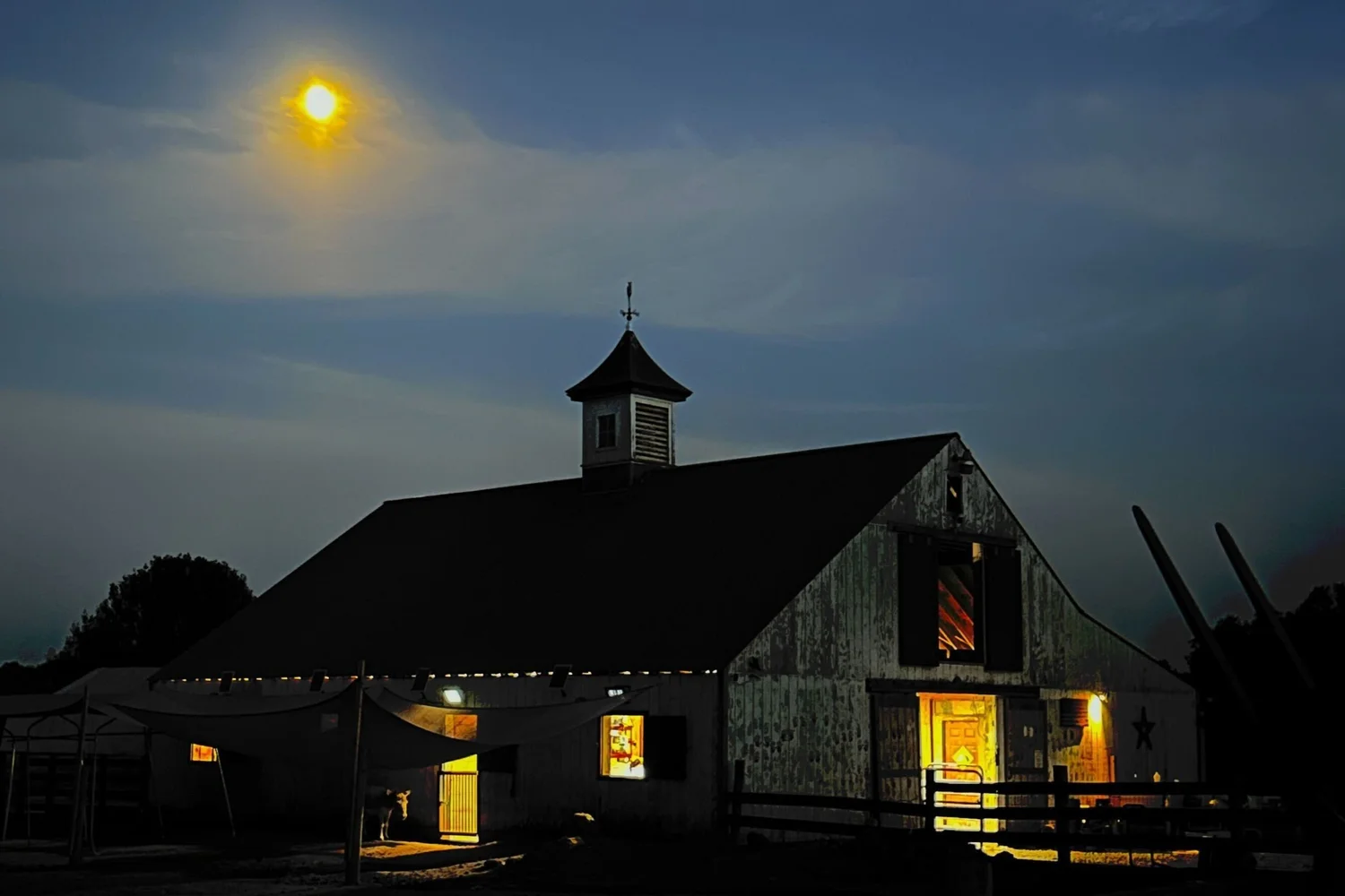 Farm Birthday Parties — Hope & Serenity Farm Sanctuary