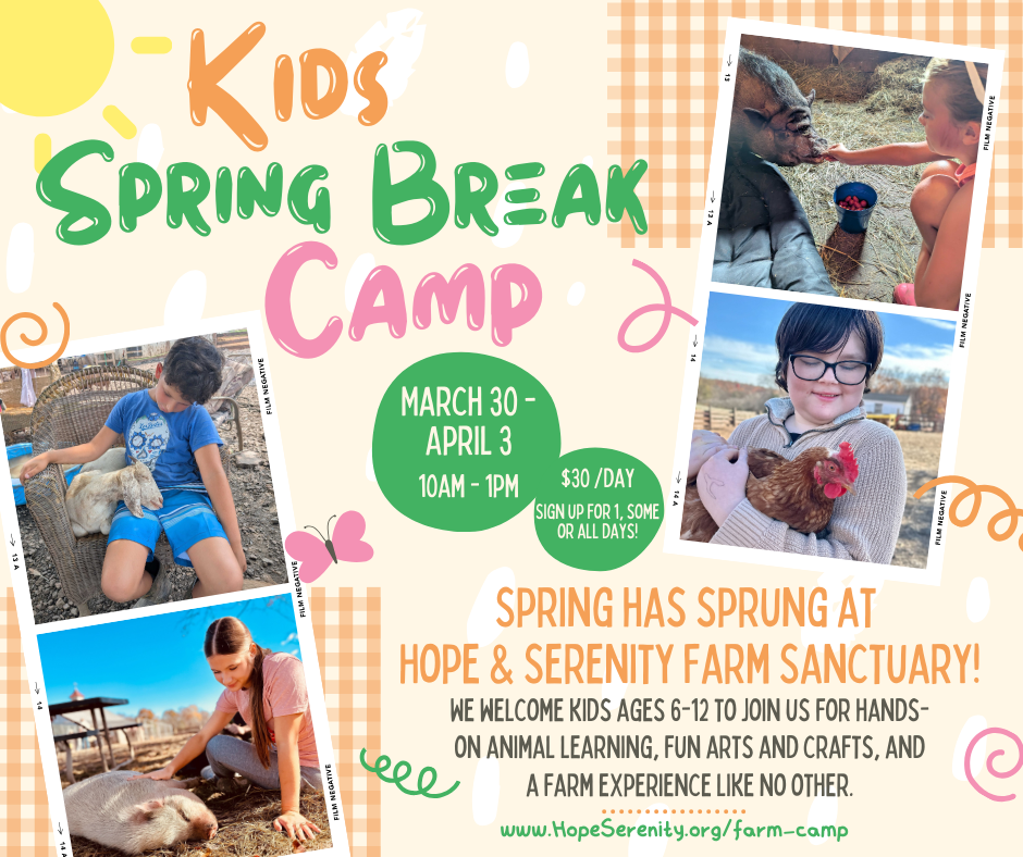 Spring Break Camp — Hope & Serenity Farm Sanctuary