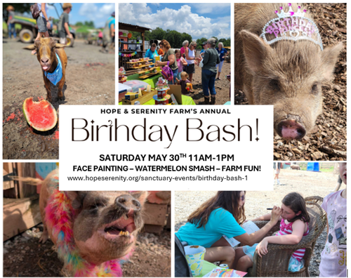 Birthday Bash — Hope & Serenity Farm Sanctuary
