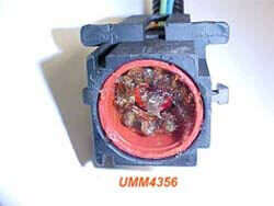 BW1356 Transfer Case Ford