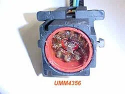 BW1356 Transfer Case Ford