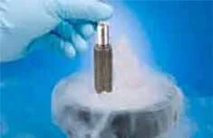 NP205 Transfer Case | Heavy-Duty Remanufactured Replacement