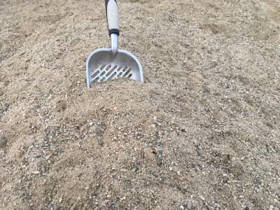 Sand for chicken coop bedding: Pros, cons, and how to do it right — The ...