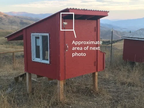 Chicken coop ventilation 101: Ventilation made easy! — The Featherbrain
