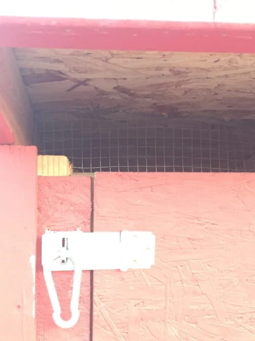 Chicken coop ventilation 101: Ventilation made easy! — The Featherbrain