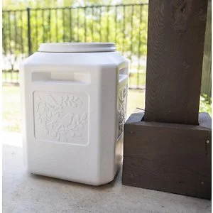 Chicks — The Featherbrain