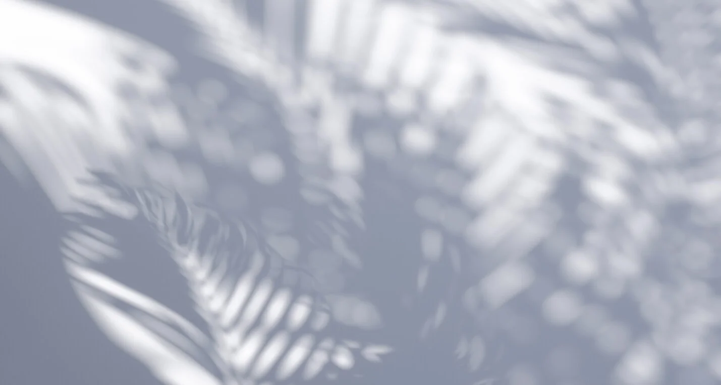 Menus — ISABEL MAYFAIR