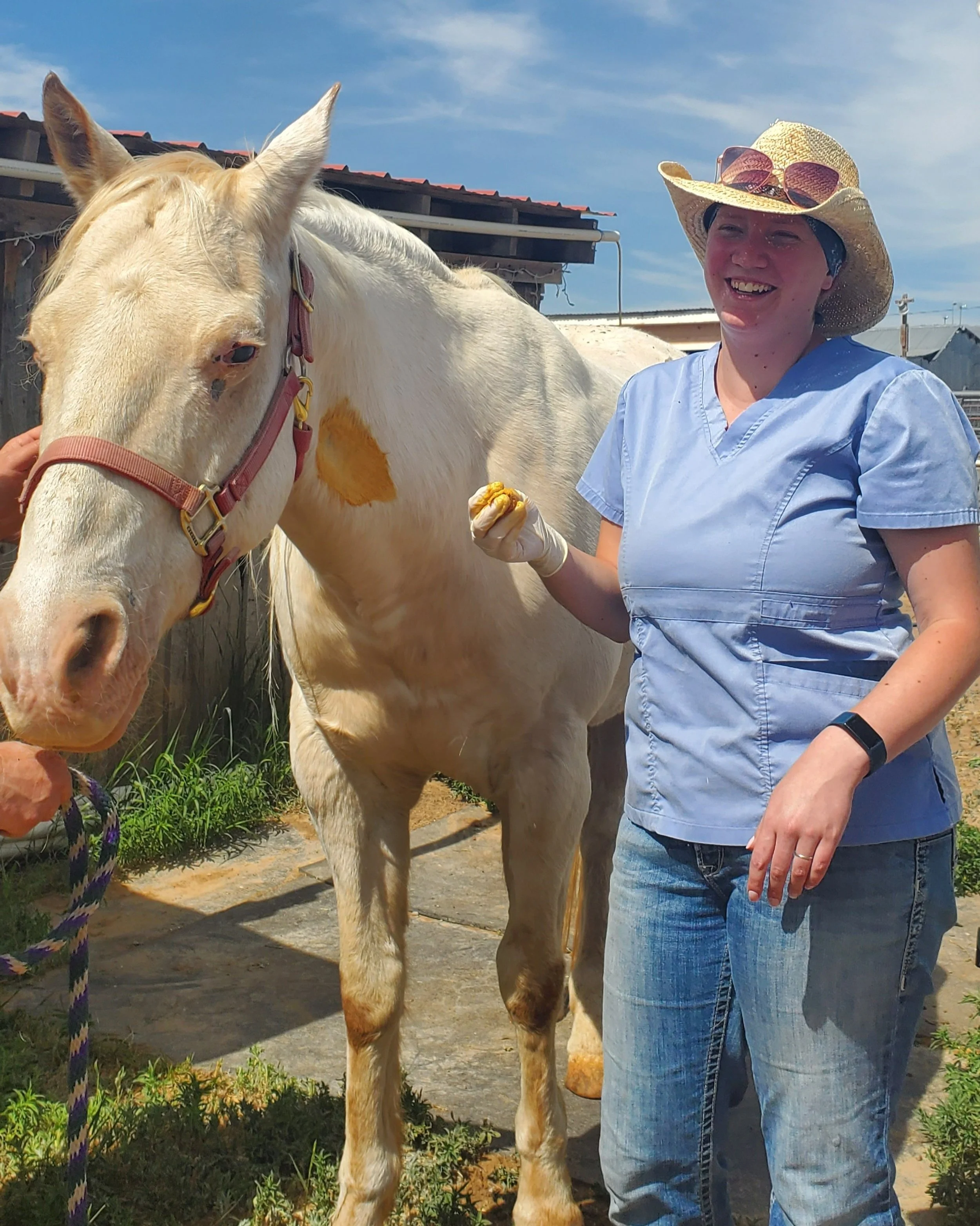 Team 1 — Southwest Veterinary Services