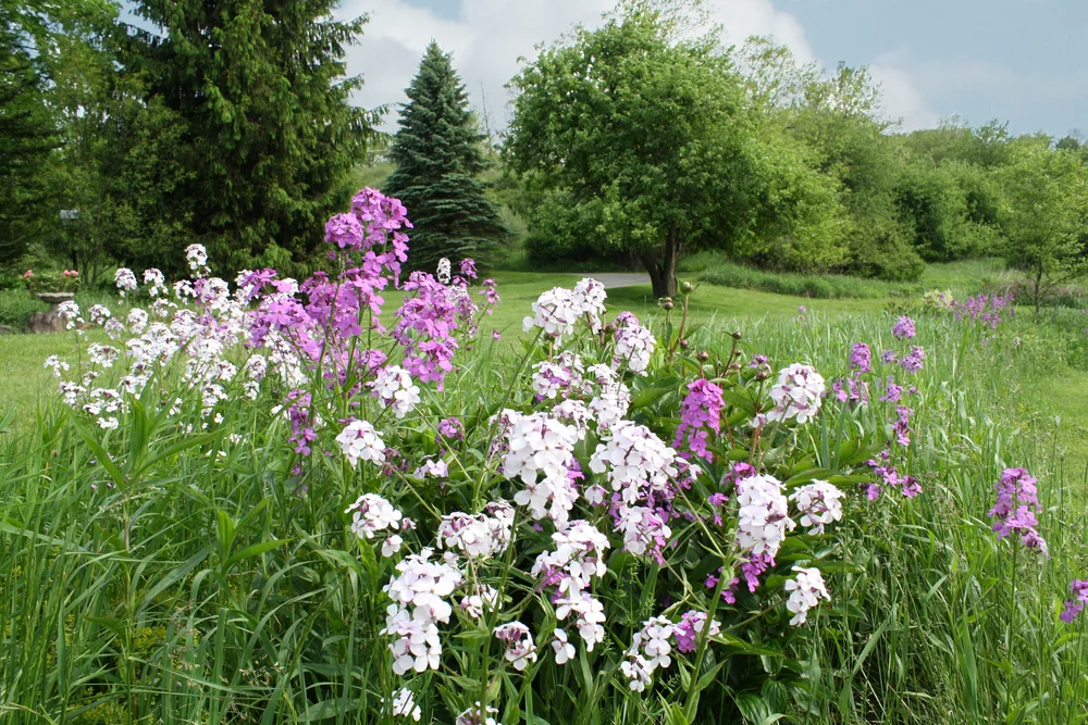 Tour the Farm | Discover, Explore, Relax Today — Haley Farm Inn ...