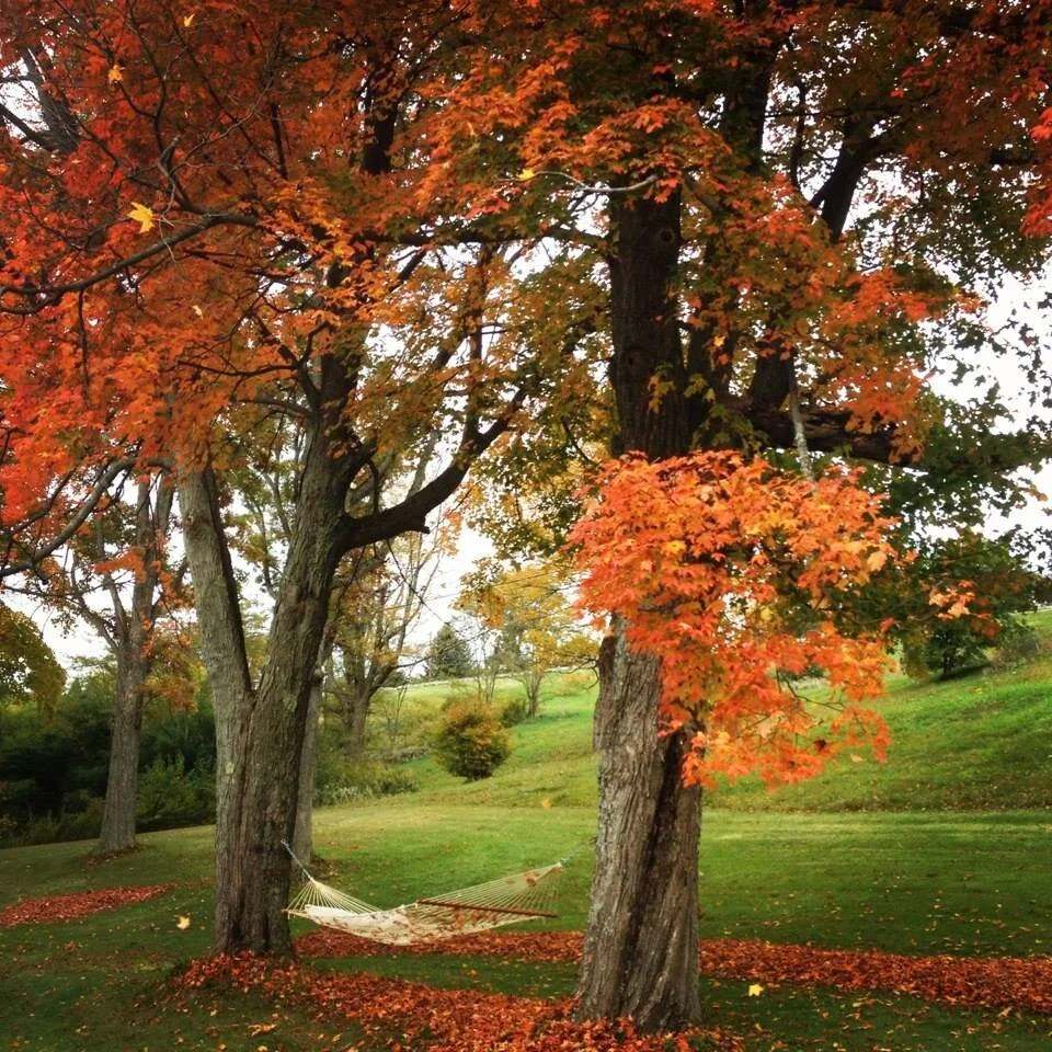 Wellness Retreats — Haley Farm Inn & Retreat Center