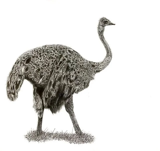 Gallery — Dominic Latham Art