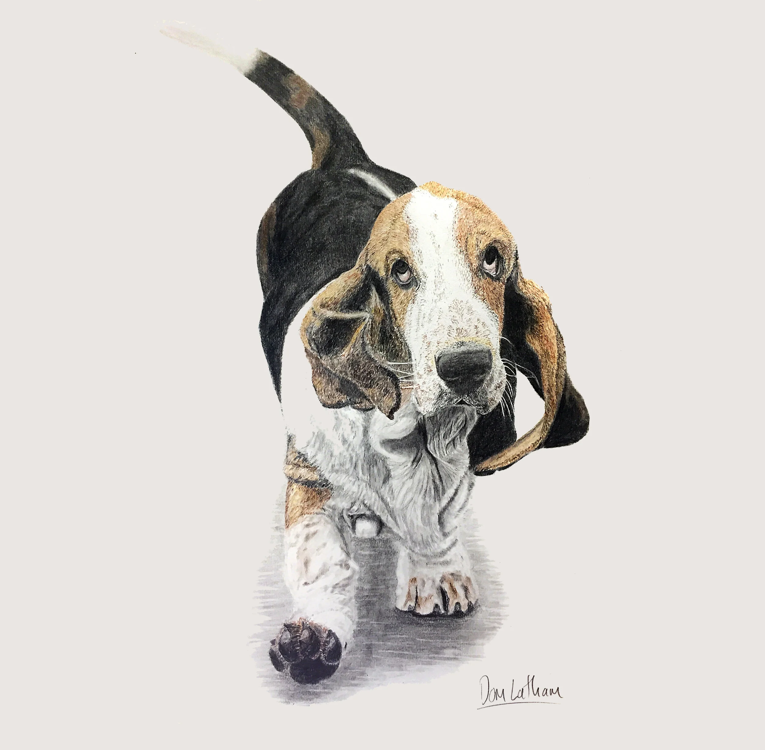 Gallery — Dominic Latham Art