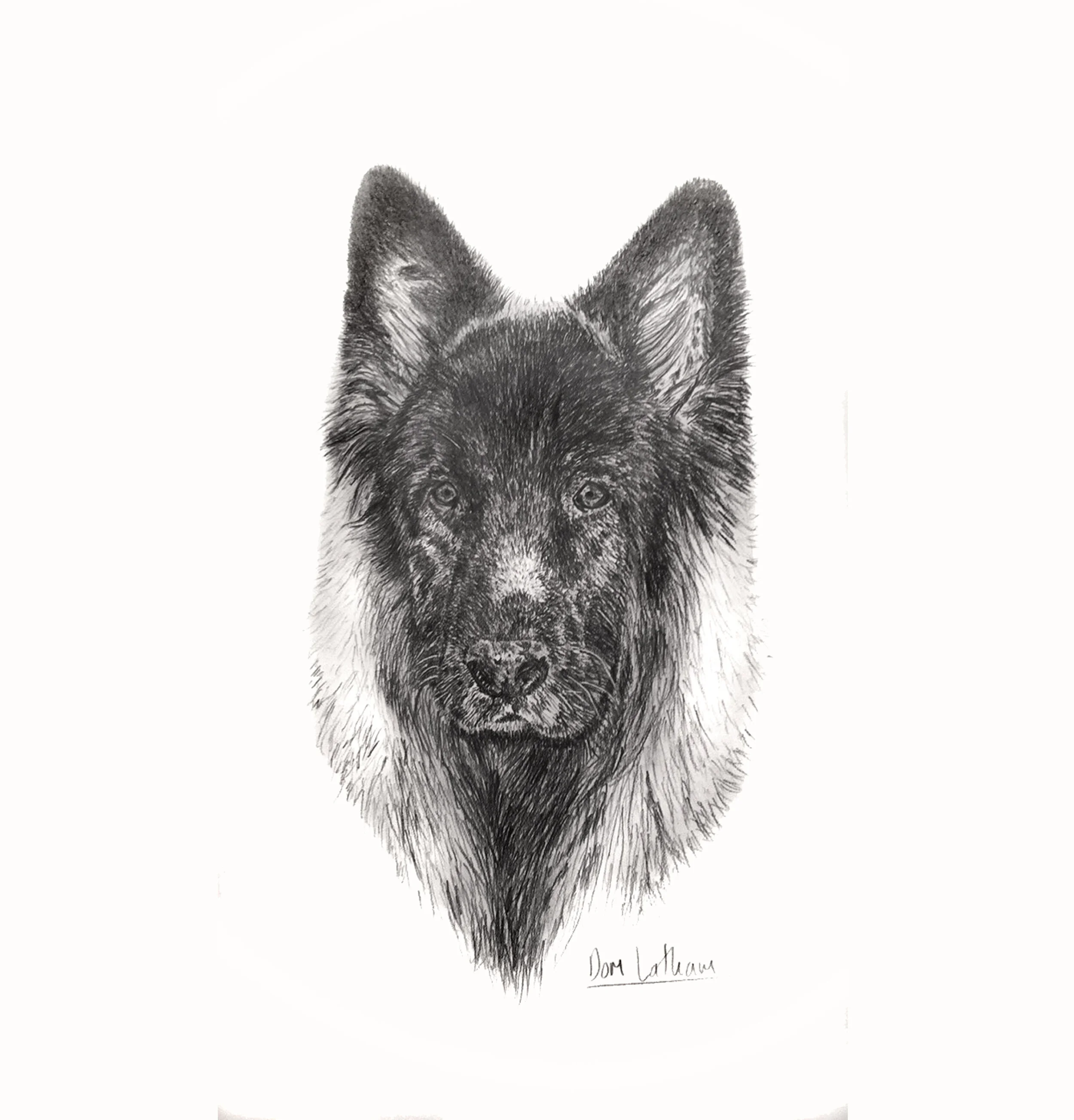 Gallery — Dominic Latham Art