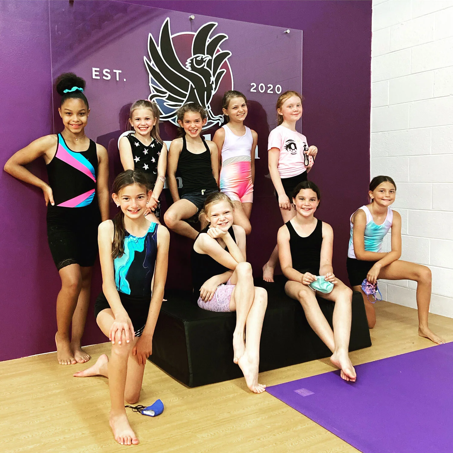 Classes — Gryphon Gymnastics