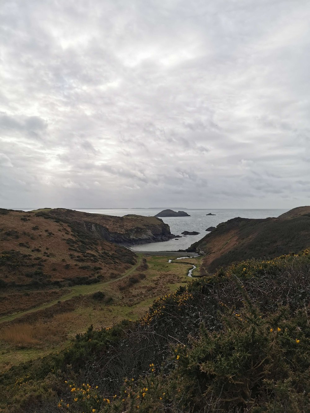 Wales Coast Path Pembrokeshire: Discover Stunning Coastal Trails and ...