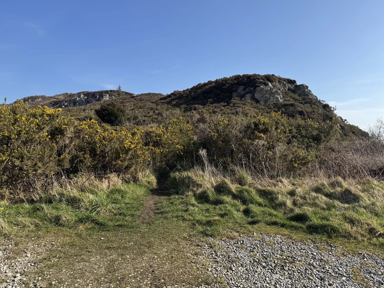 Walking Mynydd Bodafon: A Hidden Gem Among Anglesey’s Marilyns ...