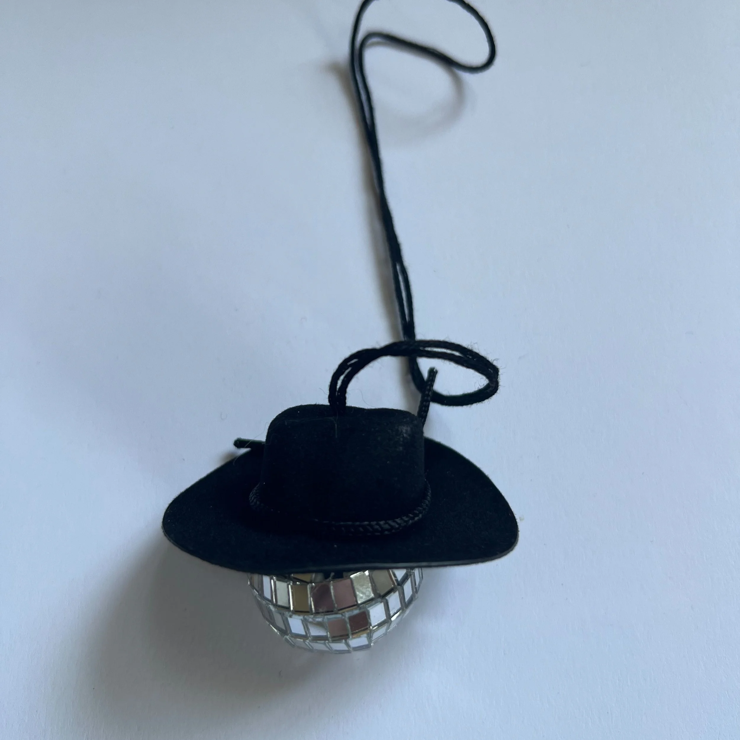 Disco Cowboy — Dapper House Menagerie