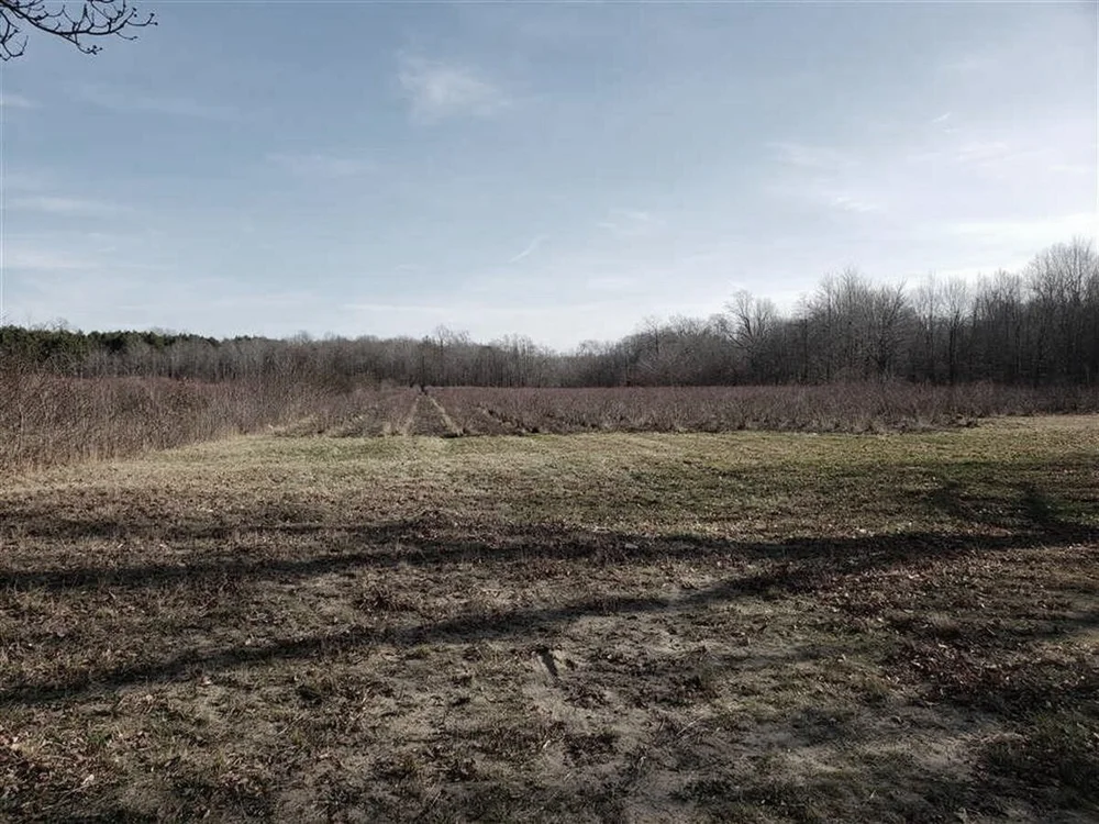 Covert, Michigan: The American Town That Never Experienced Segregation ...