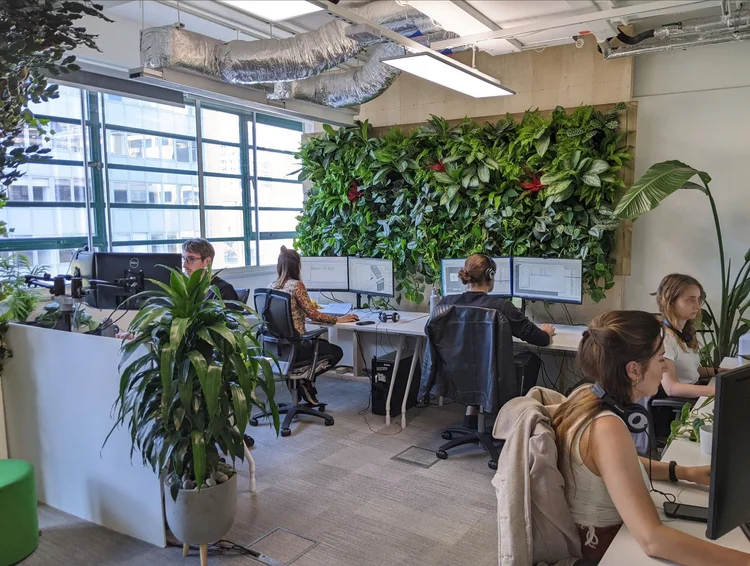 Benholm Group - biophilic office design