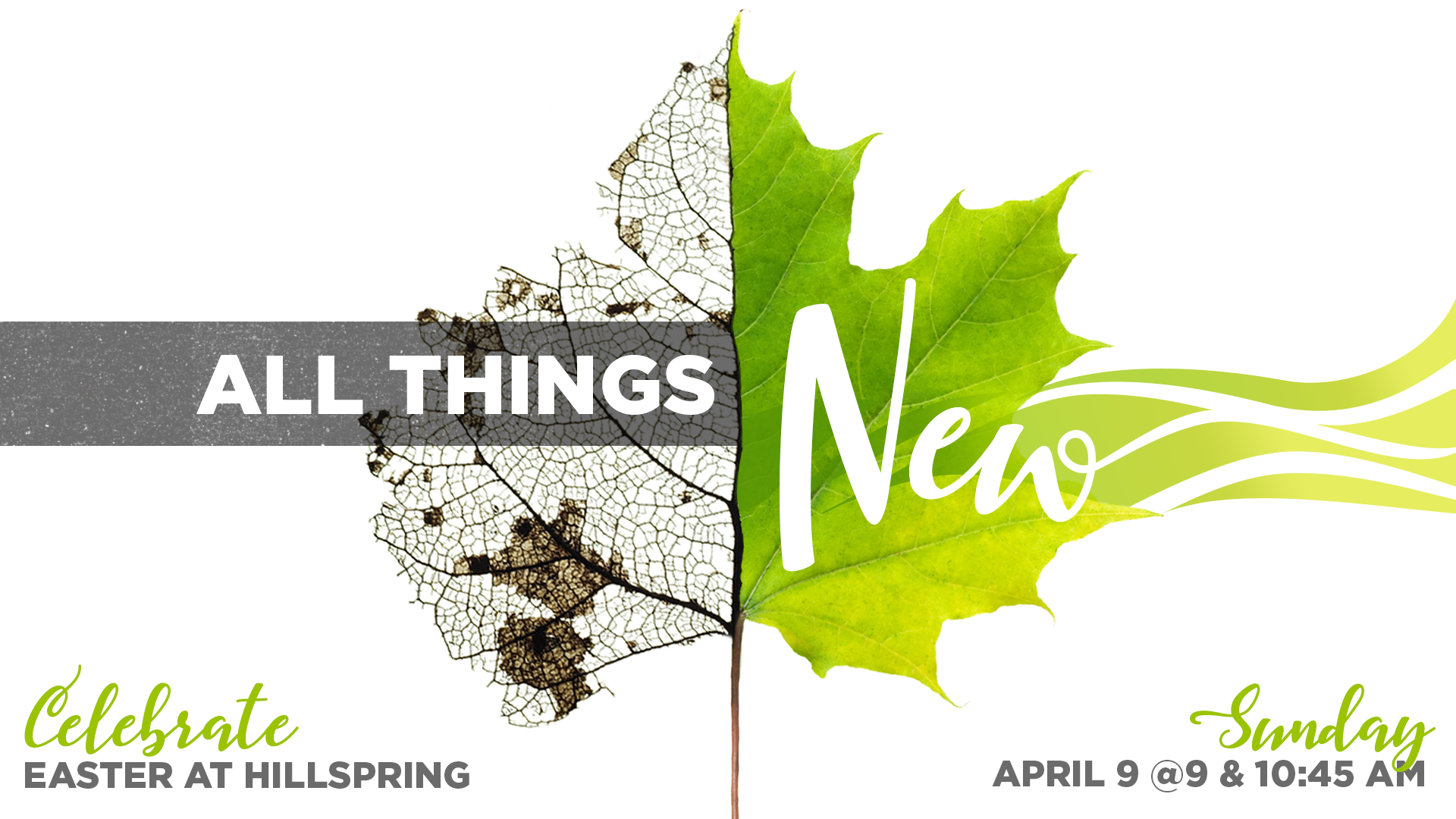 Easter at Hillspring — Hillspring Church