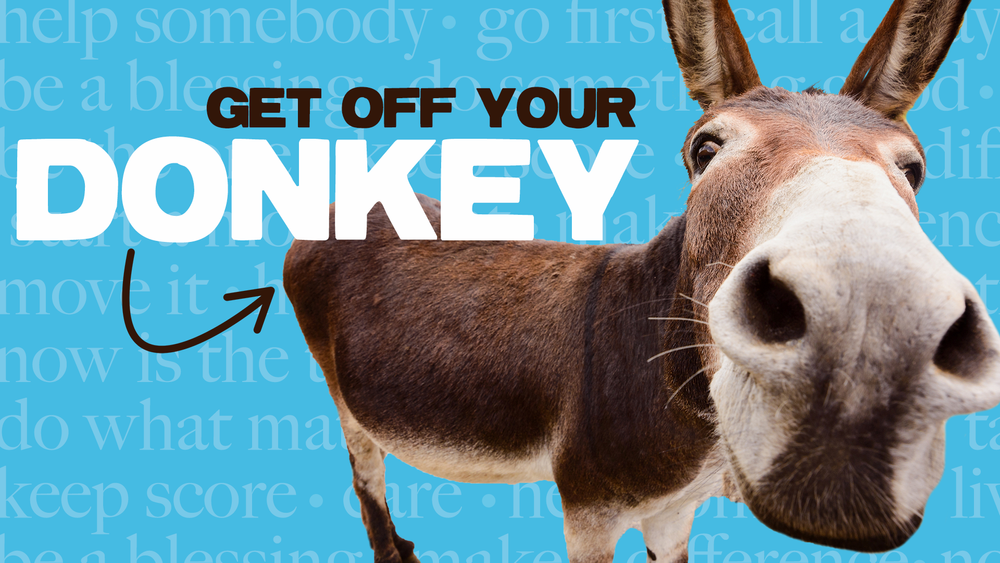 Get Off Your Donkey — Hillspring Church