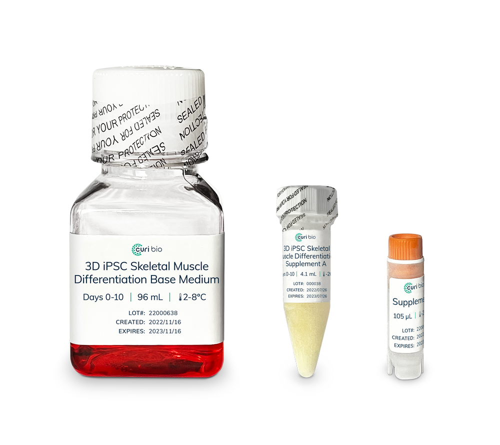 3D Skeletal Muscle Tissue Media — Curi Bio