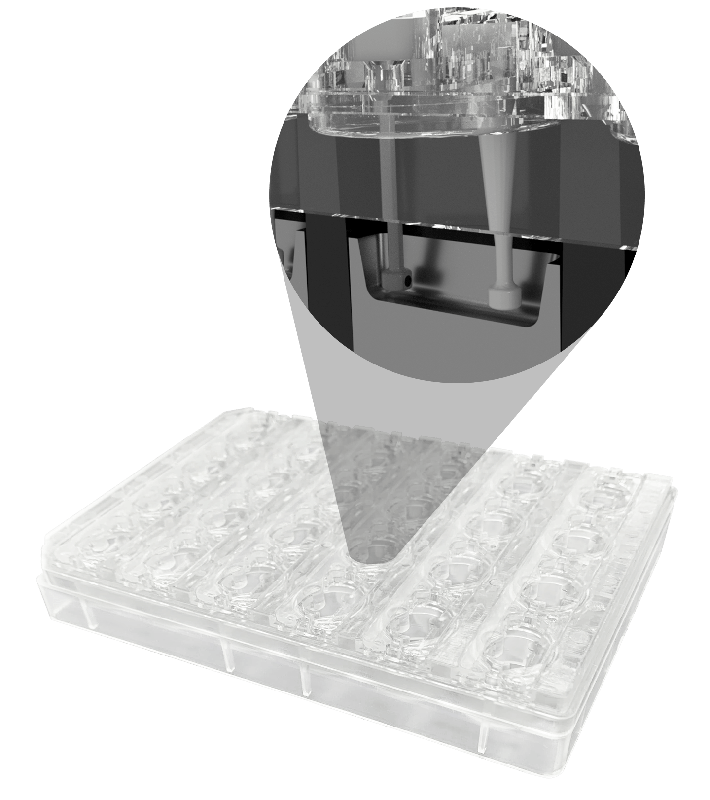 Mantarray — Curi Bio