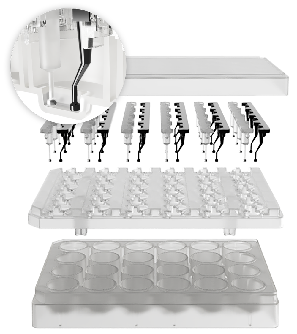 Mantarray Mini Plates — Curi Bio