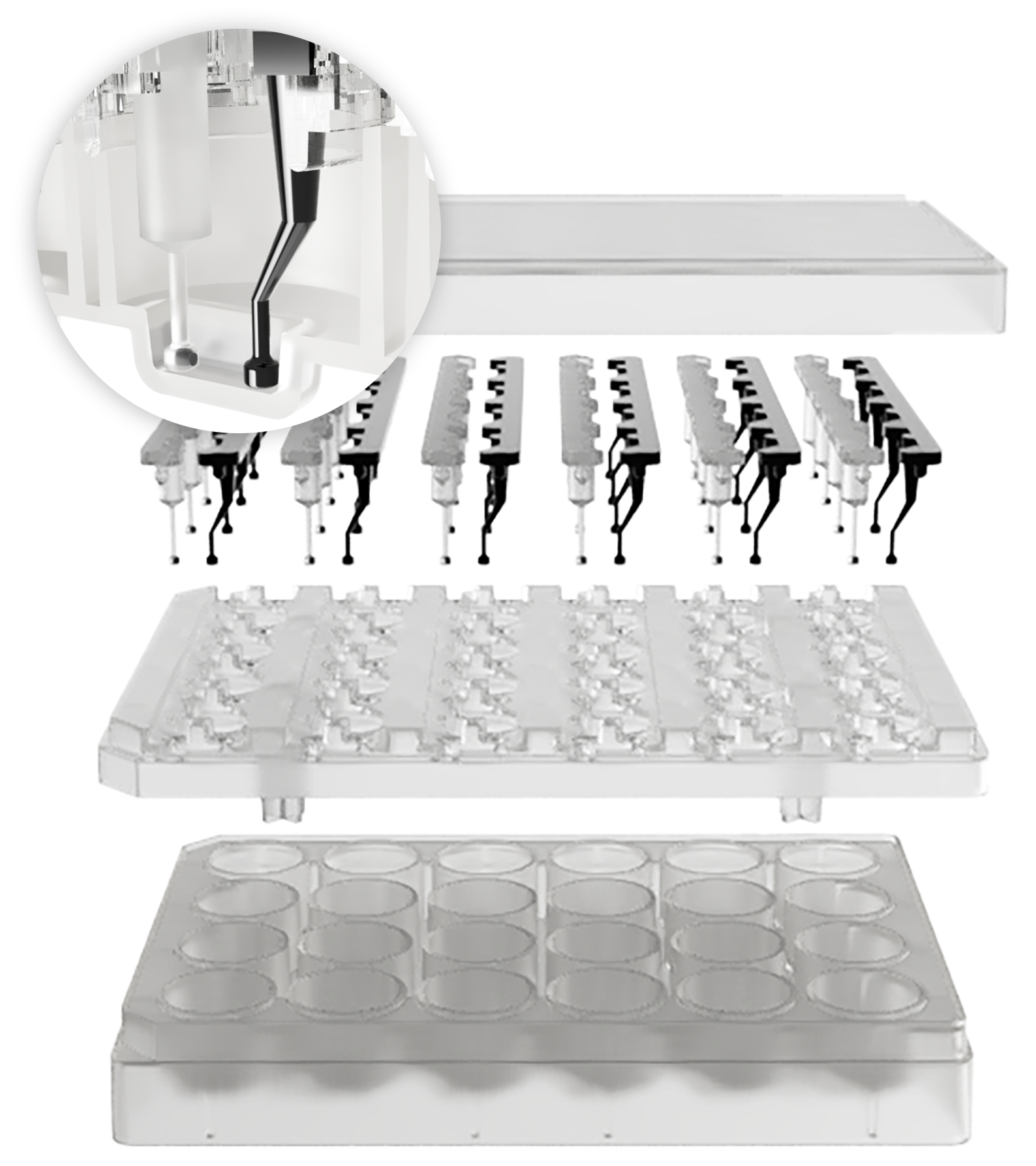 Mantarray Mini Plates — Curi Bio