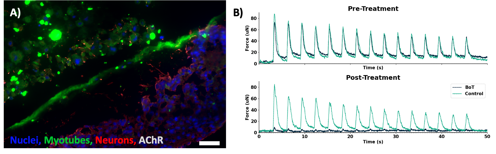 Webinar Registration — Curi Bio