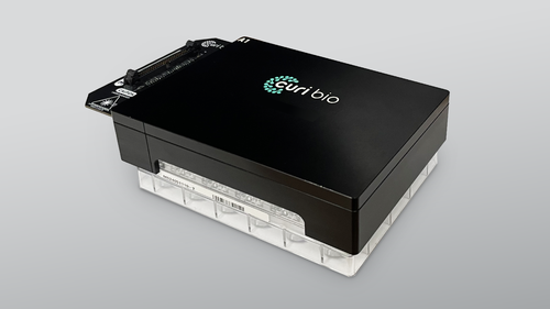 3D Human Neuromuscular Junction Model — Curi Bio