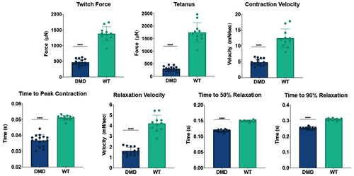 Disease Models — Curi Bio