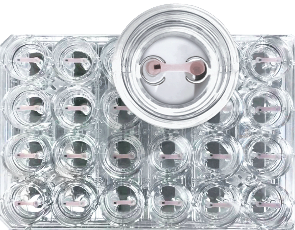 Mantarray™ Instrument — Curi Bio