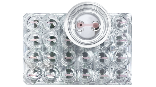 Mantarray™ Instrument — Curi Bio