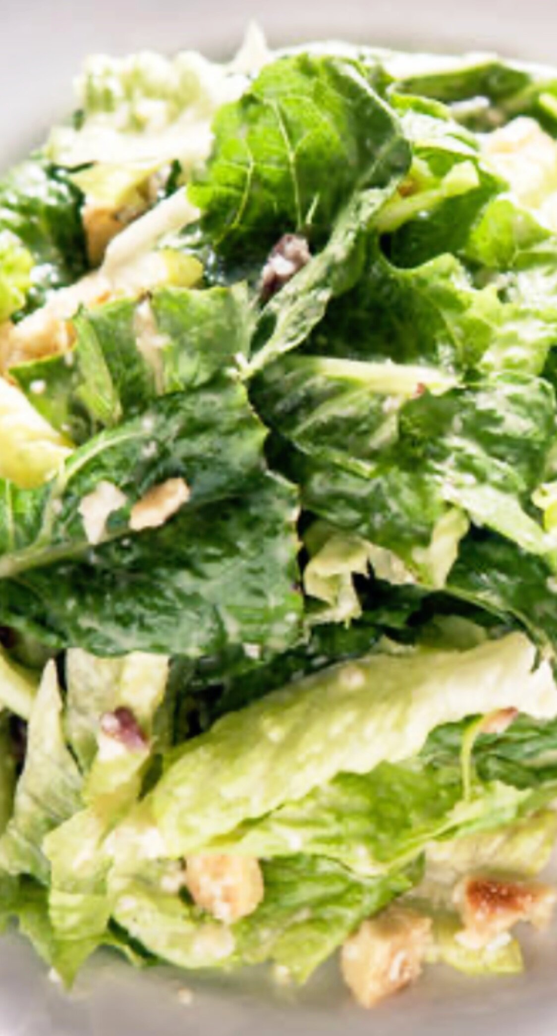 Gallery — Ristorante Filippo