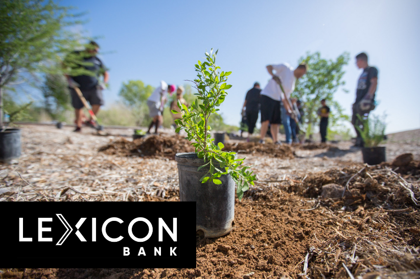 News — Lexicon Bank