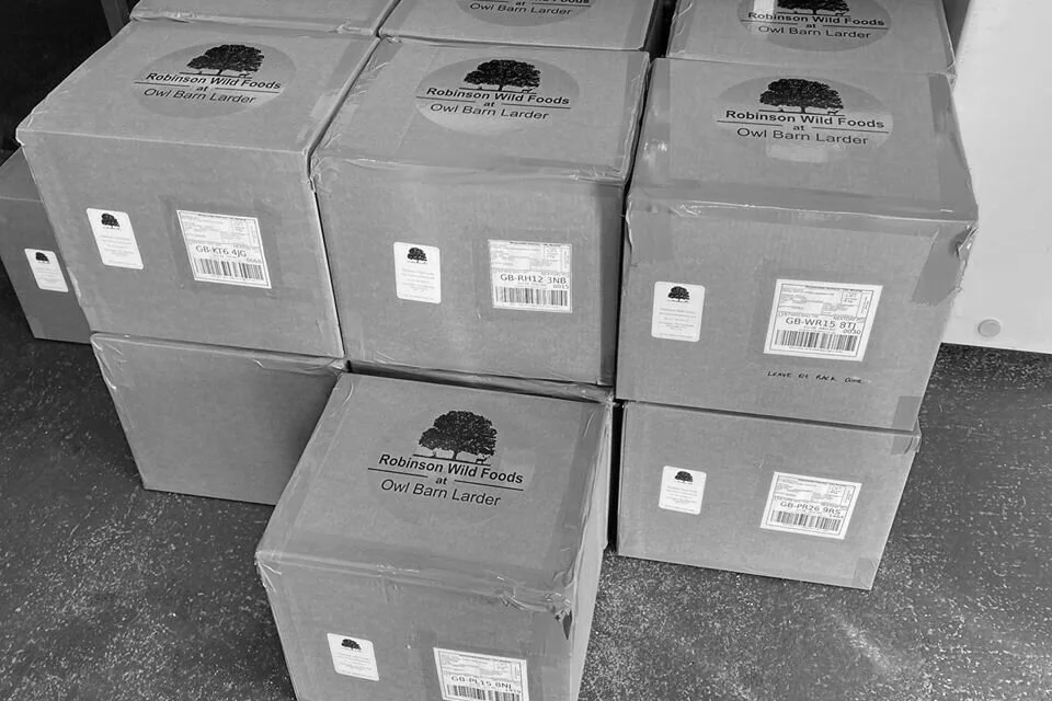 Services 1 — Deer Box