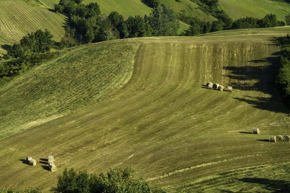 About | Experience Premium Venison Today — Deer Box