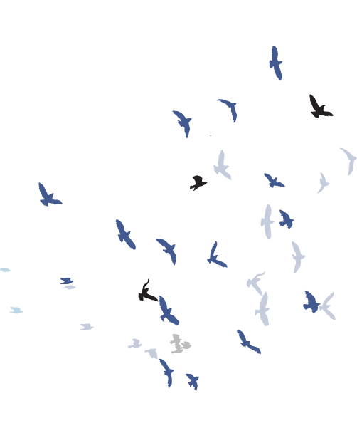 Flying Crow Creative