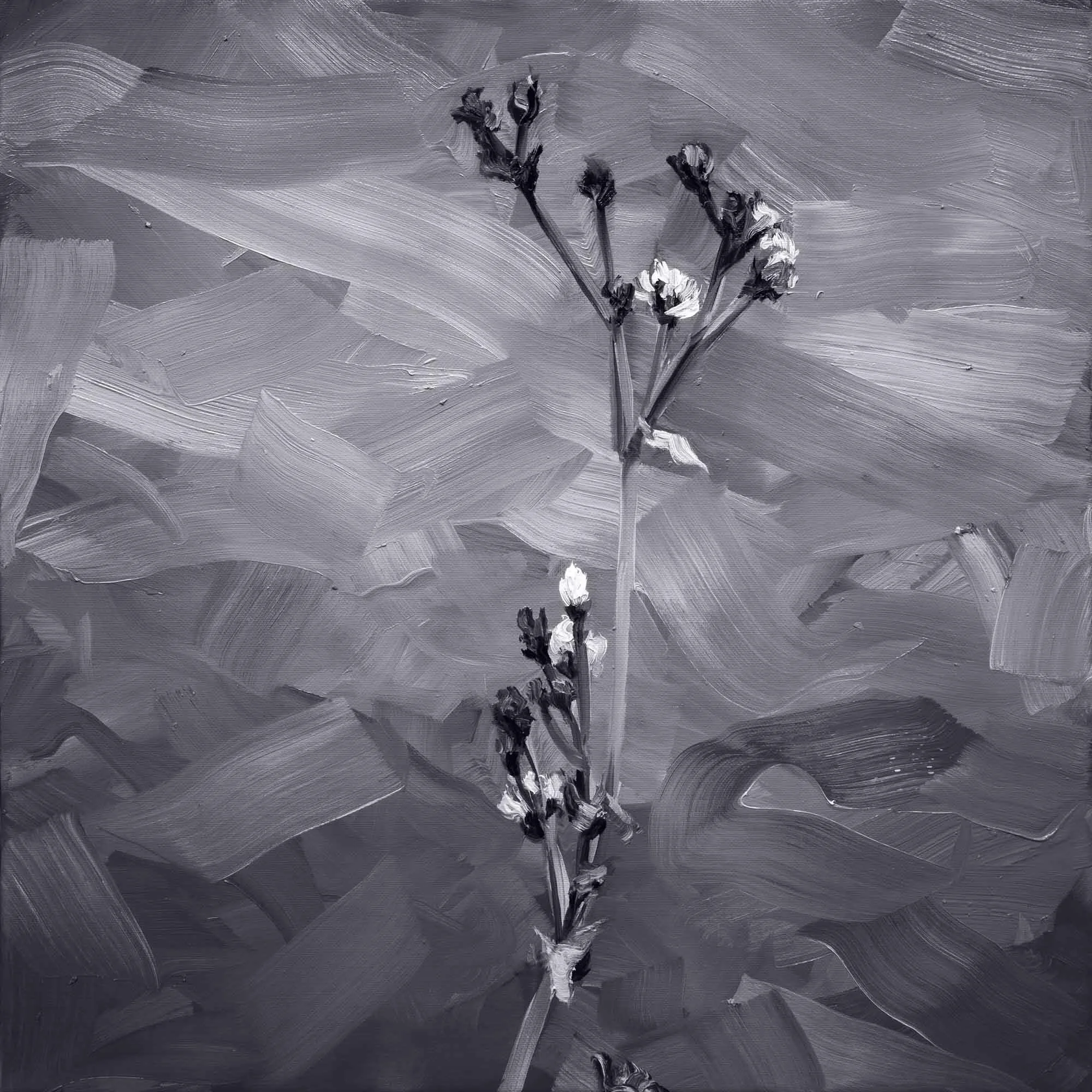 YOANN MERIENNE — GALERIE BAYART
