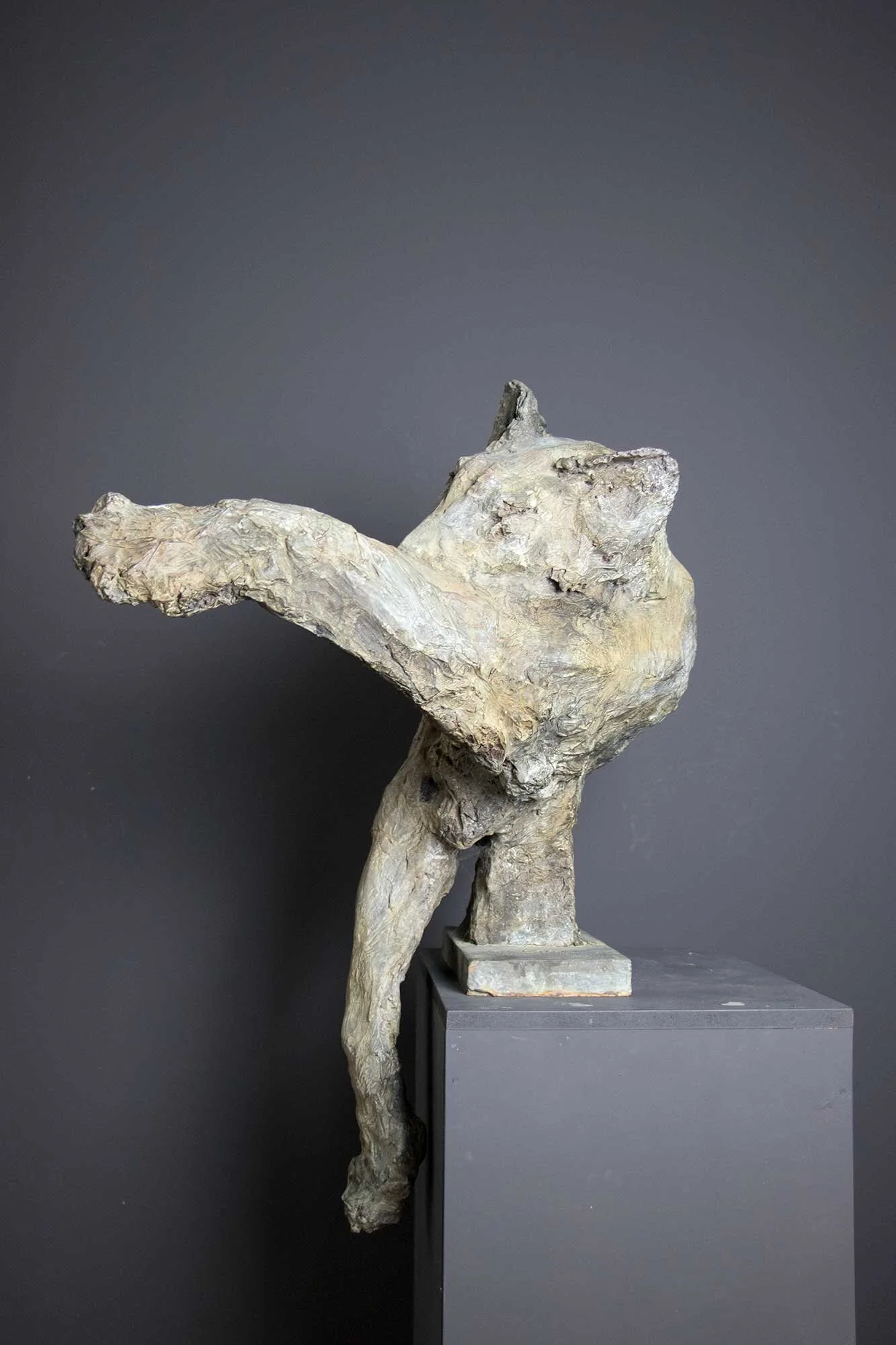 oeuvrePV — GALERIE BAYART