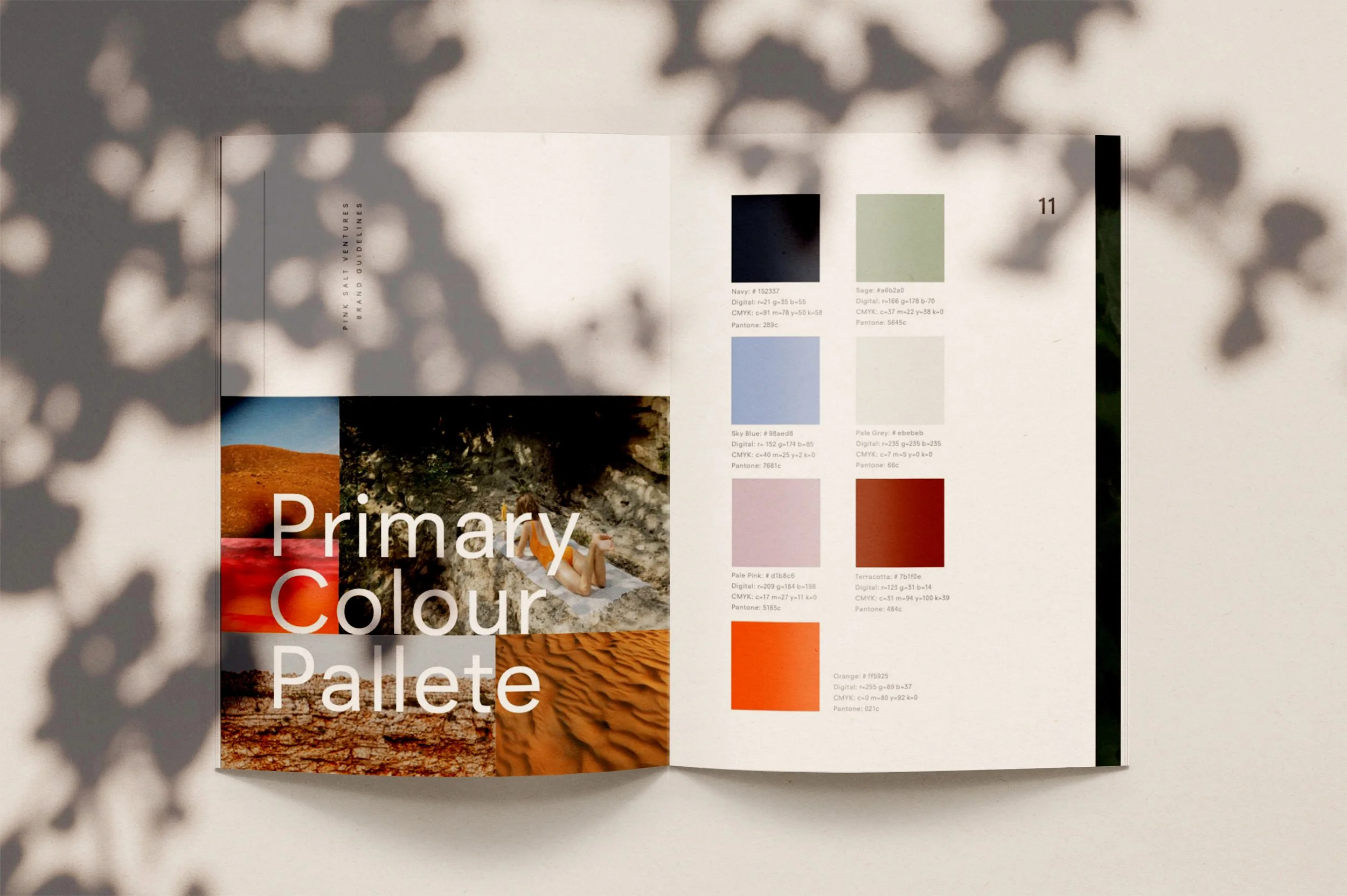 Brand Identity, Pitch Deck Design and Website Design for a venture ...