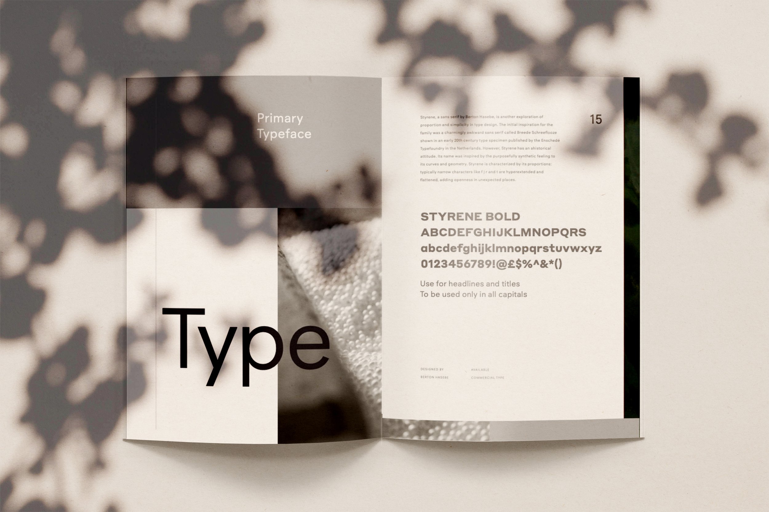 Brand Identity, Pitch Deck Design and Website Design for a venture ...