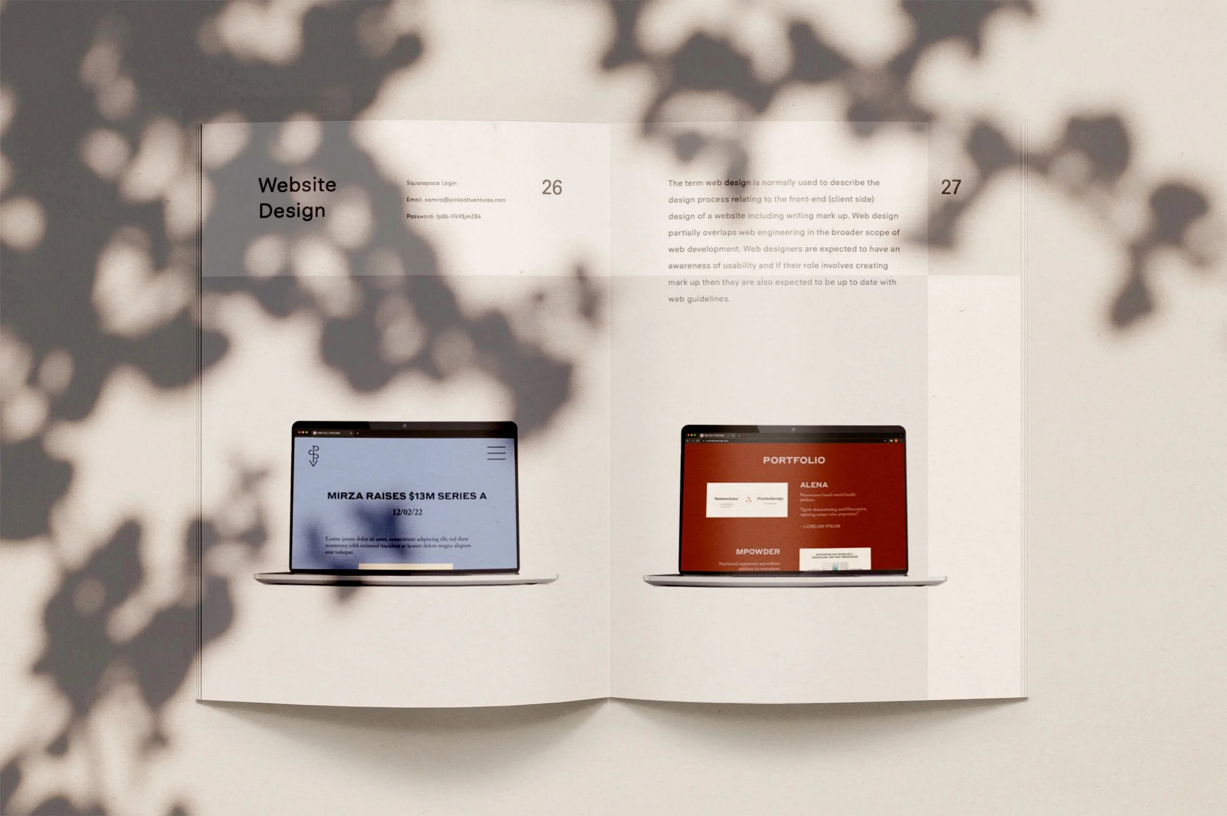 Brand Identity, Pitch Deck Design and Website Design for a venture ...